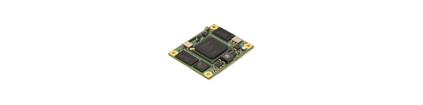 Micro-modules FPGA Trenz electronic Spartan-3E / 3A / 6